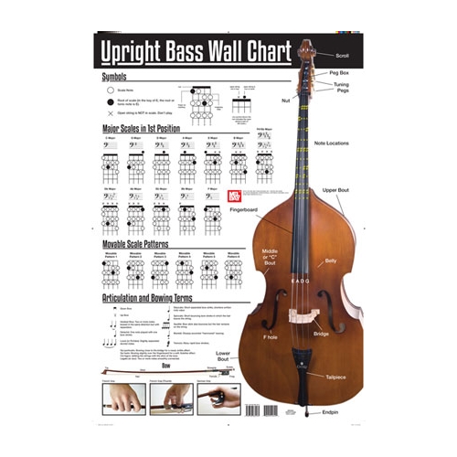 Kline Music - Upright Bass Wall Chart